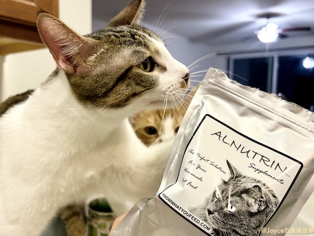 [美國貓鮮食] Alnutrin 預拌粉自製貓鮮食：3個版本介紹、用法、價格分析、客服體驗 - Joyce的美國故事