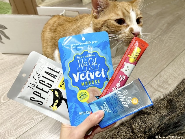 [貓咪腸胃炎] 貓腸胃炎症狀、檢查、康復過程、照護心得｜VEG San Jose 24/7寵物急診 - Joyce的美國故事